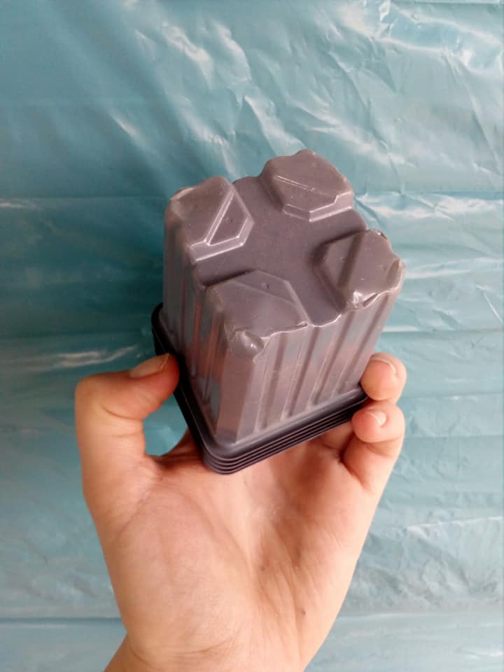 Saksije-za-rasad-ĆOSIĆ