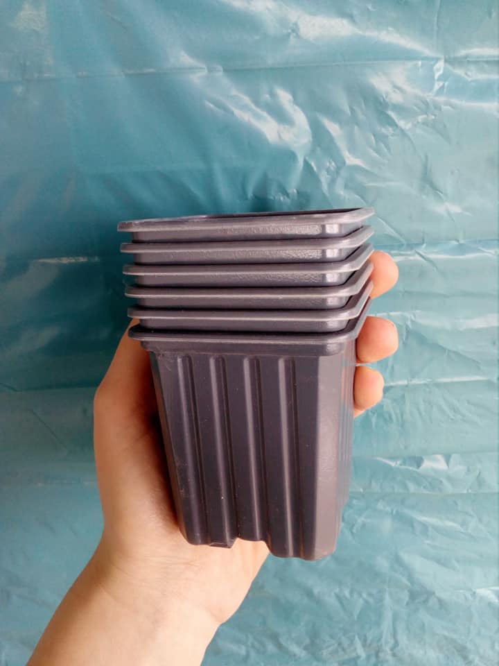 Saksije-za-rasad-ĆOSIĆ