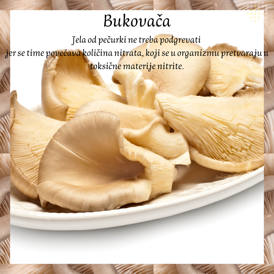 Proizvodnja bukovače