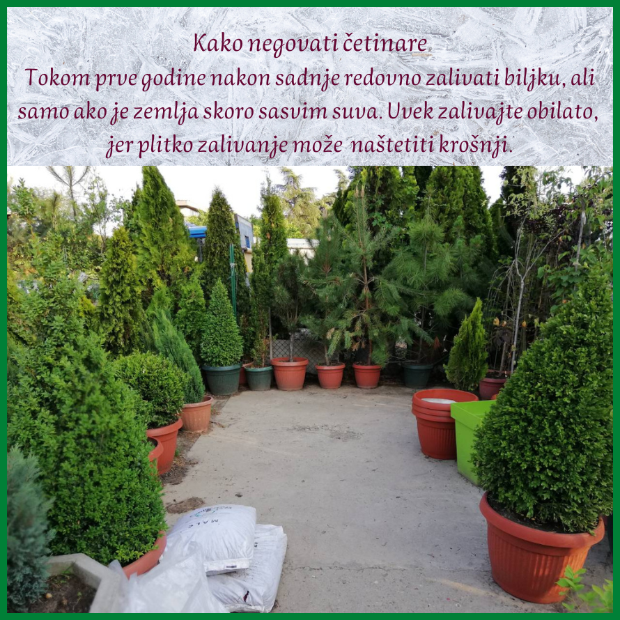 Uređenje bašti i vrtova