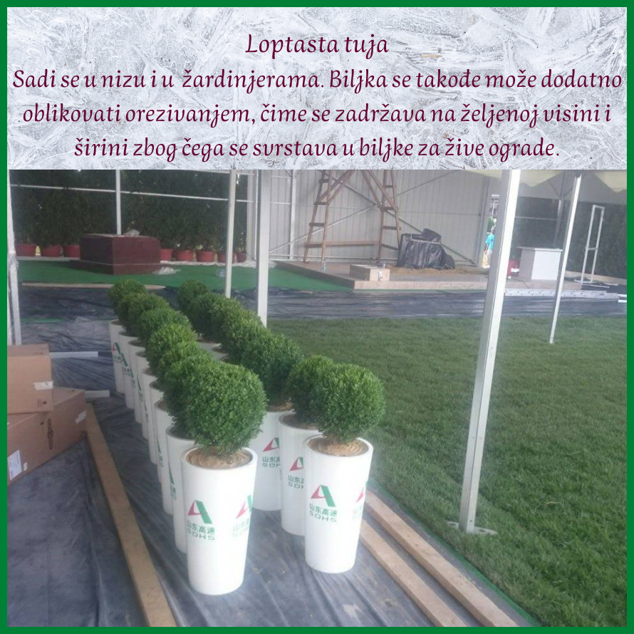 Uređenje bašti i vrtova