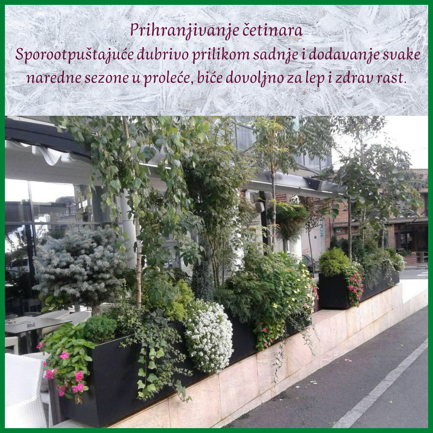 Uređenje bašti i vrtova